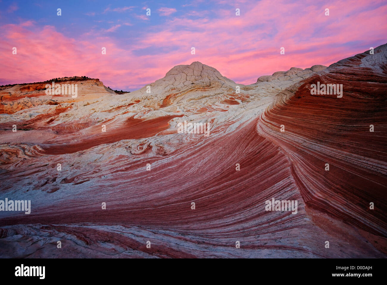 Sandstone Formation in White Pocket Stock Photo - Alamy