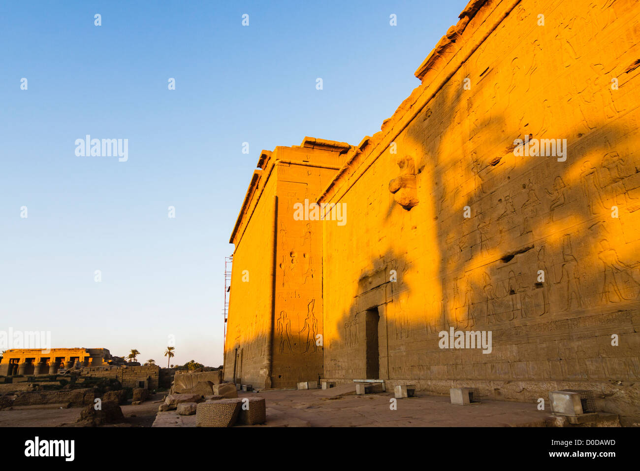 Palm tree shadows at sunset over the Temple of Hathor at Dendera. Egypt ...