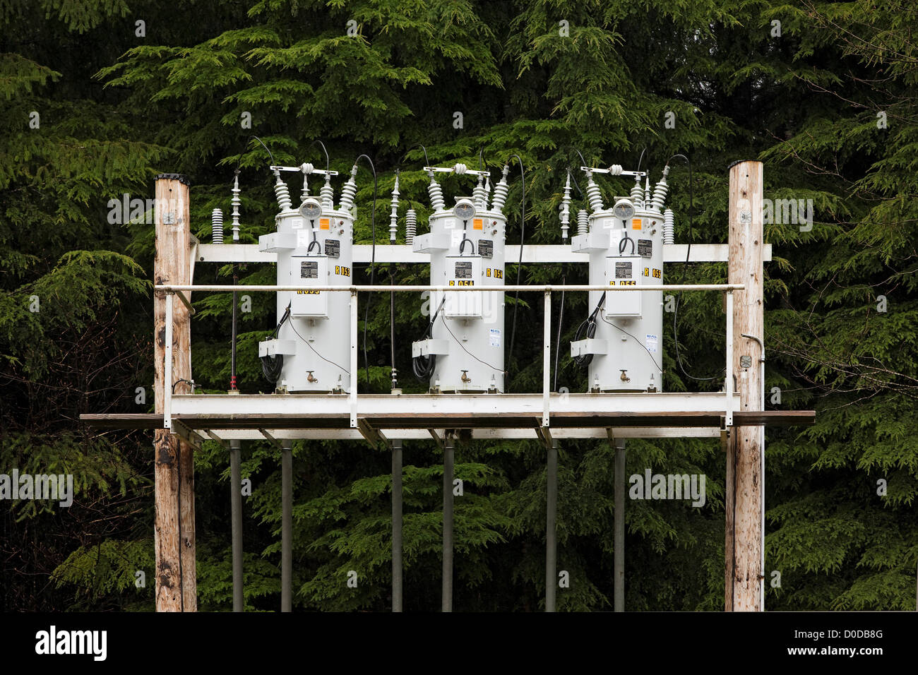 Power Transformers in Temperate Rainforest Stock Photo - Alamy