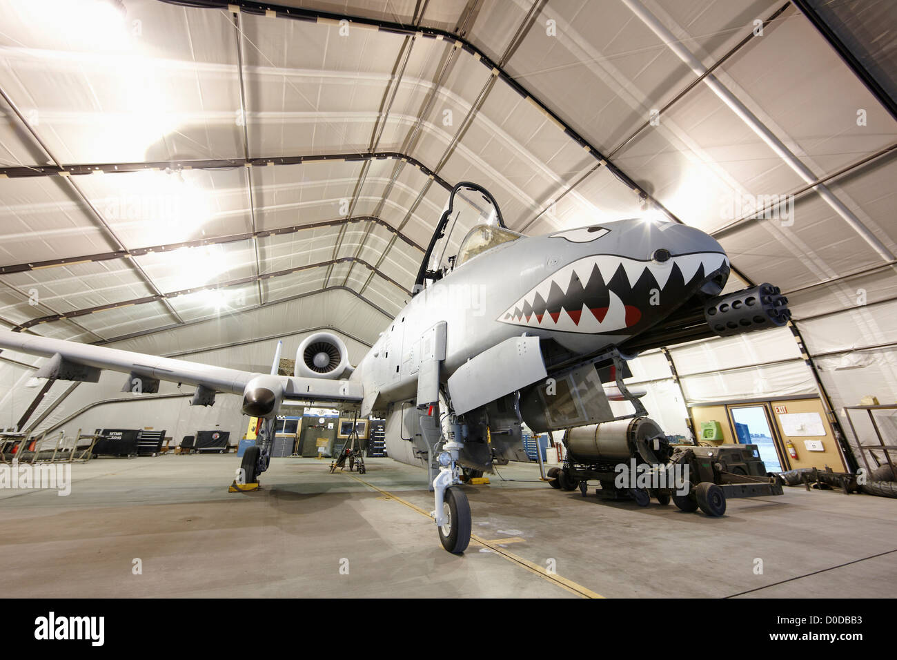 A-10 Thunderbolt II 'Warthog' Stock Photo - Alamy