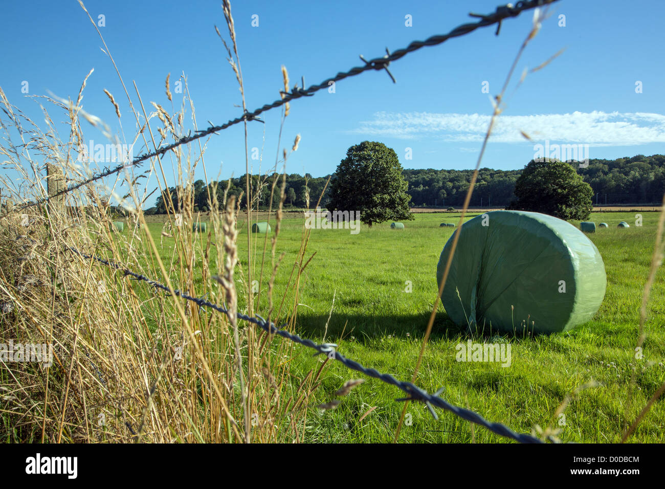 Under a fence hi-res stock photography and images - Alamy
