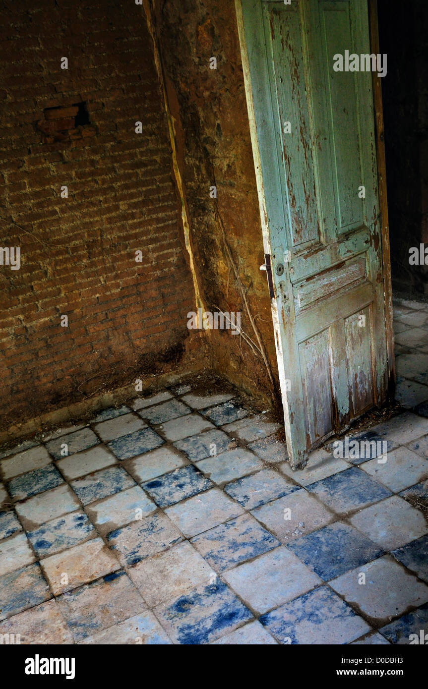 Decayed room interior old door tiled floor and roots growing on ...