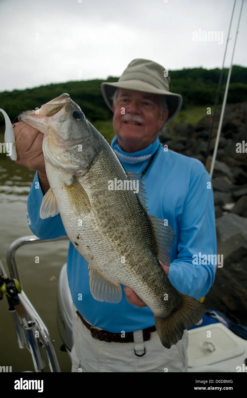 An angler show off a big largemouth bass caught on a swimbait in Lake ...