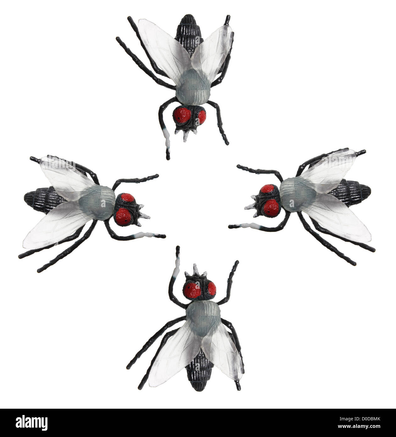 Group of flies Cut Out Stock Images & Pictures - Alamy