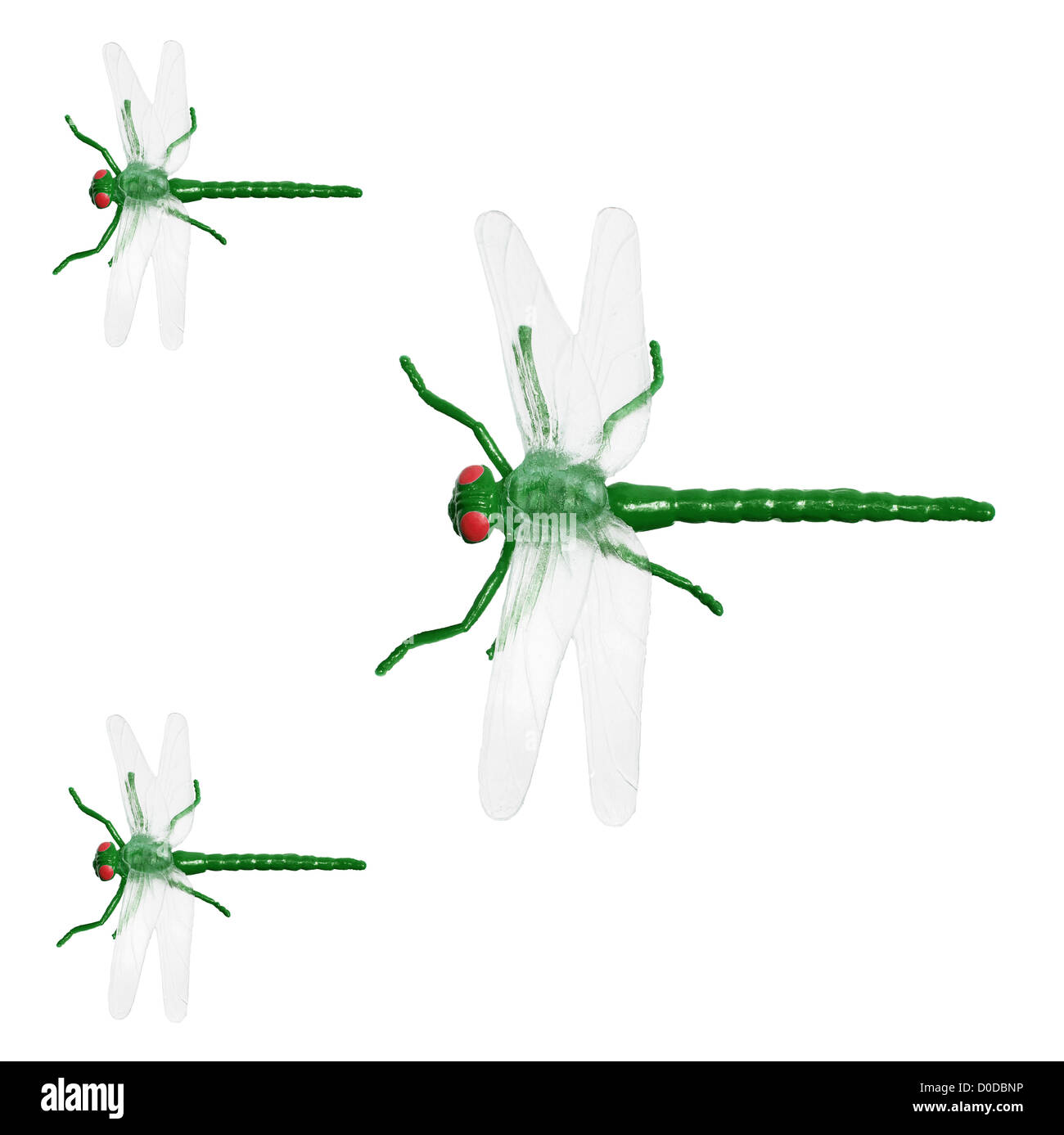 Dragon flies hi-res stock photography and images - Alamy