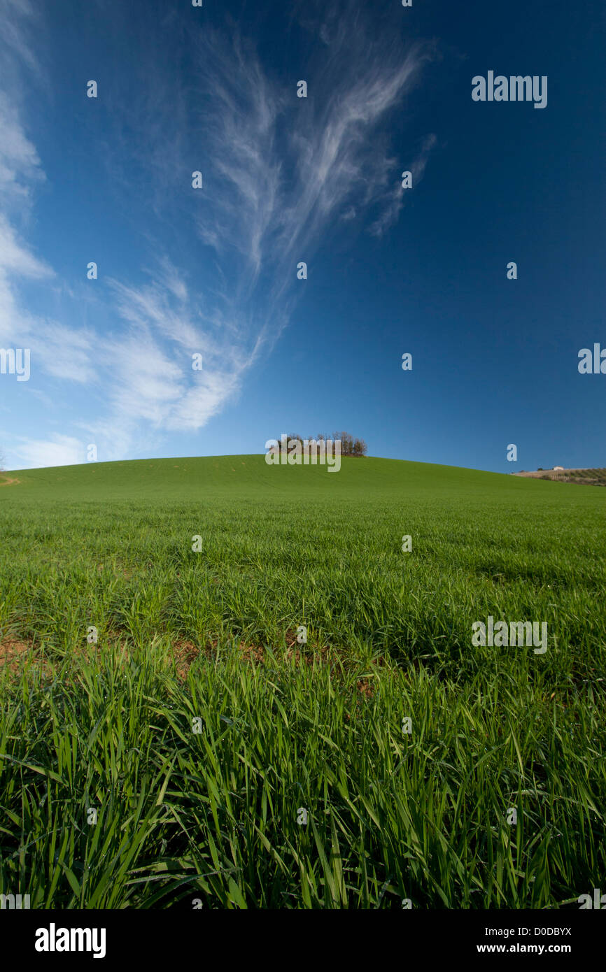 Field grass hill hi-res stock photography and images - Alamy