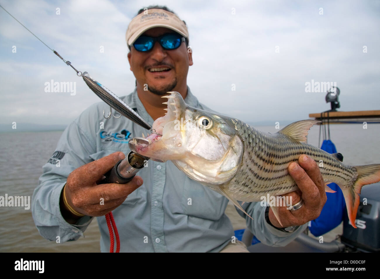 An angler show off teeth of a tiger fish caught on diving jerkbait in ...