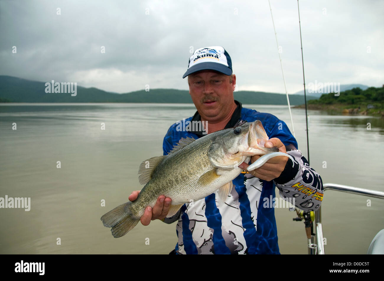 An angler show off a big largemouth bass caught on a swimbait in Lake ...