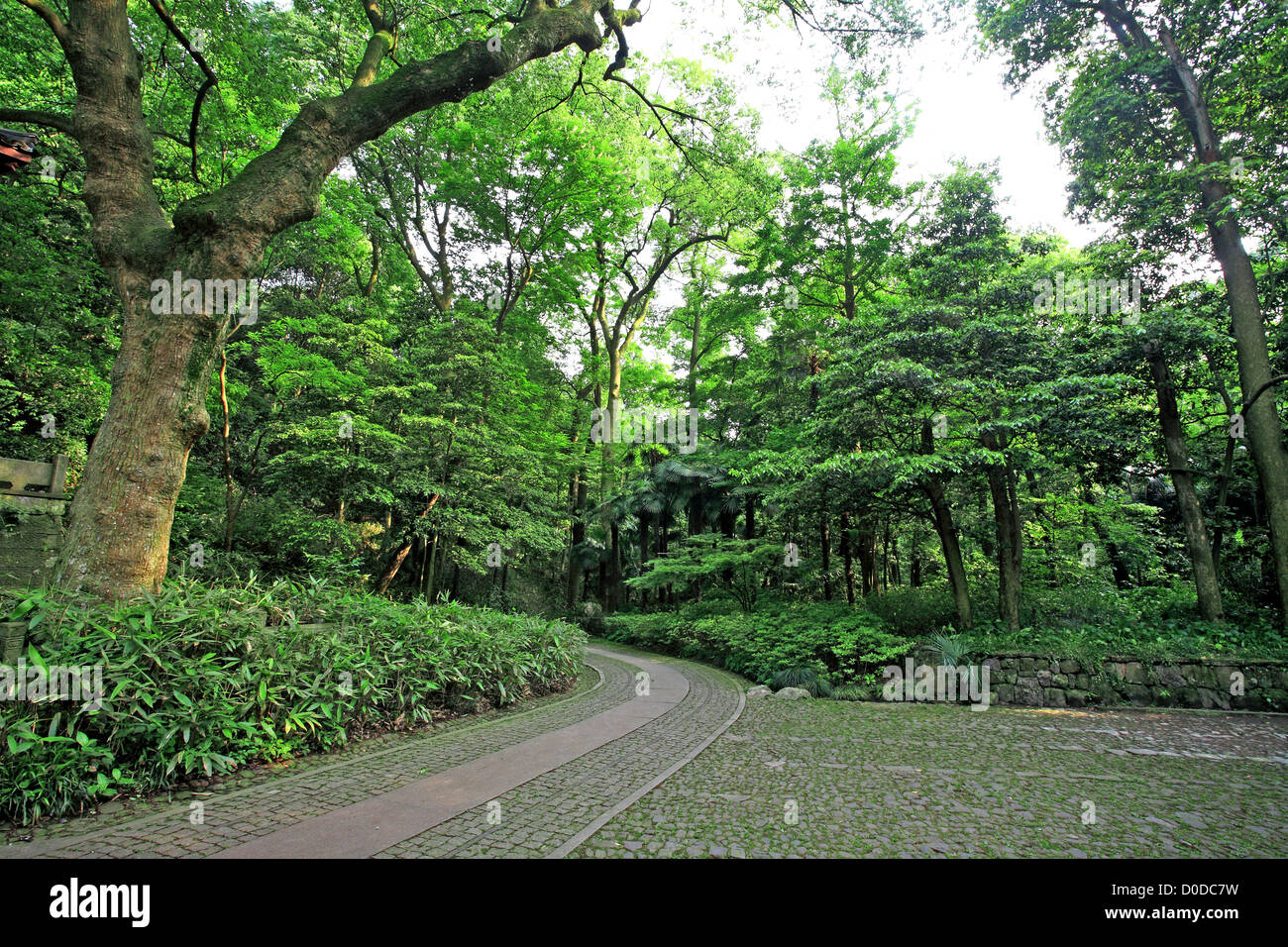 Earth pathway hi-res stock photography and images - Alamy