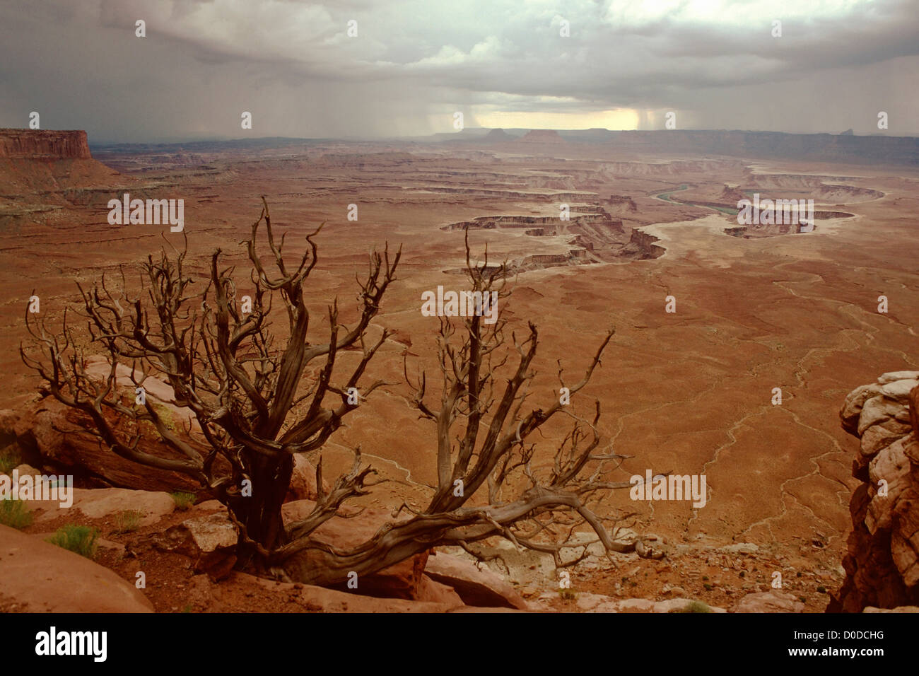 Thunderstorm Sweeps Utah's Canyonlands Above the Green River Stock ...