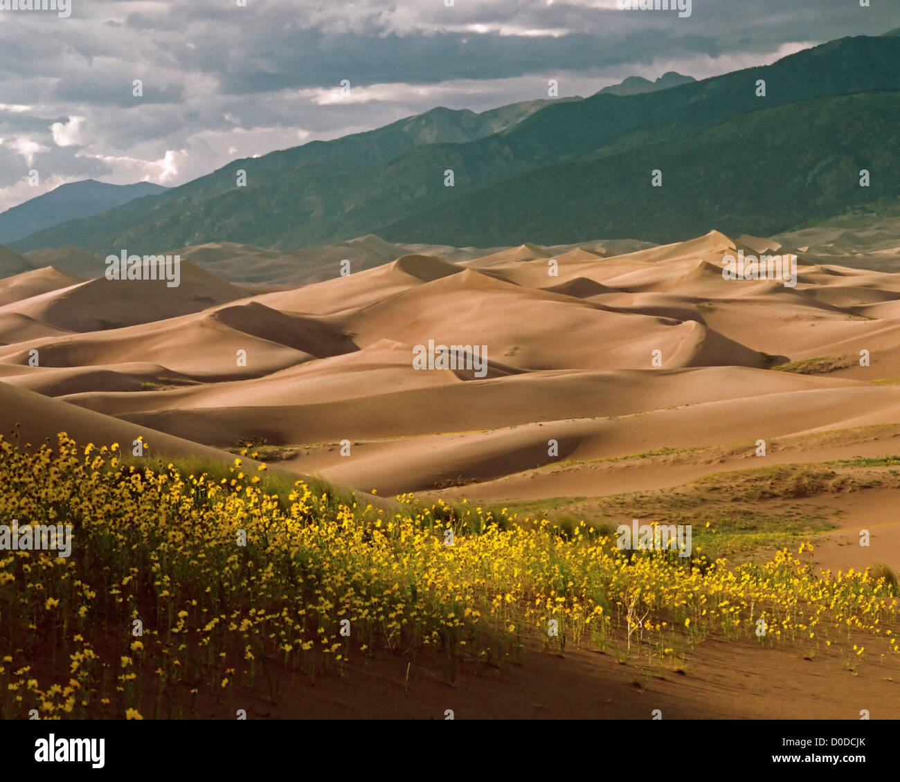 A Colorado Summer Sunset Stock Photo - Alamy