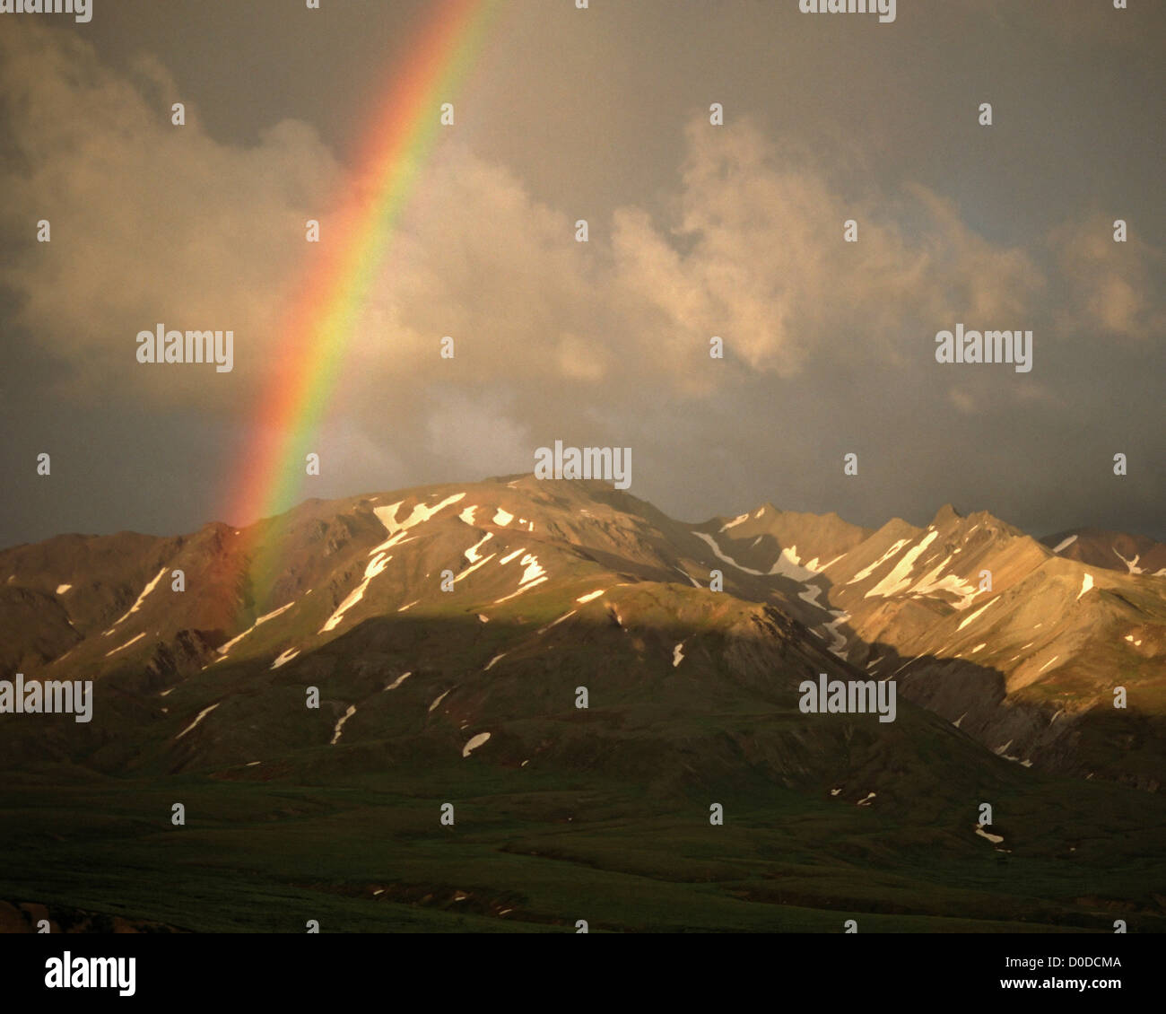 Polychrome basin hi-res stock photography and images - Alamy