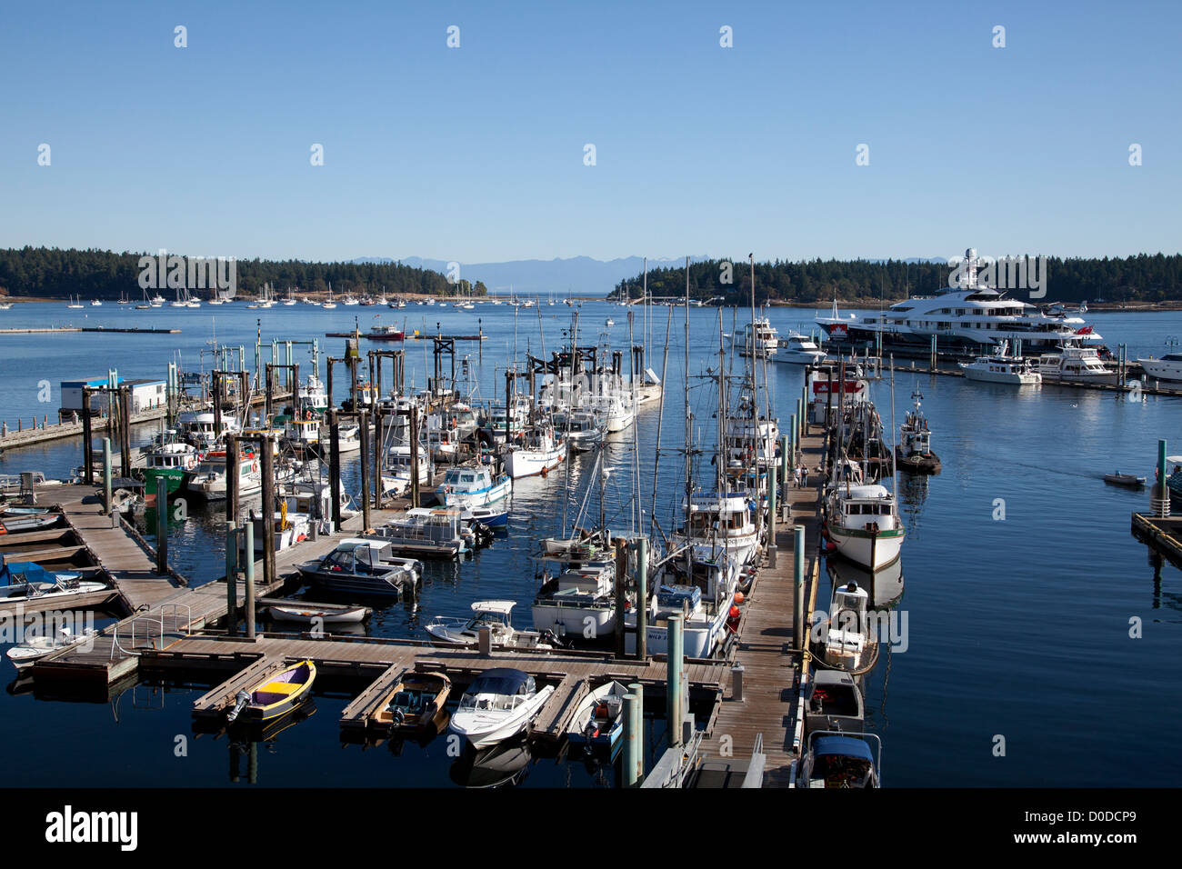 Boat basin hi-res stock photography and images - Alamy