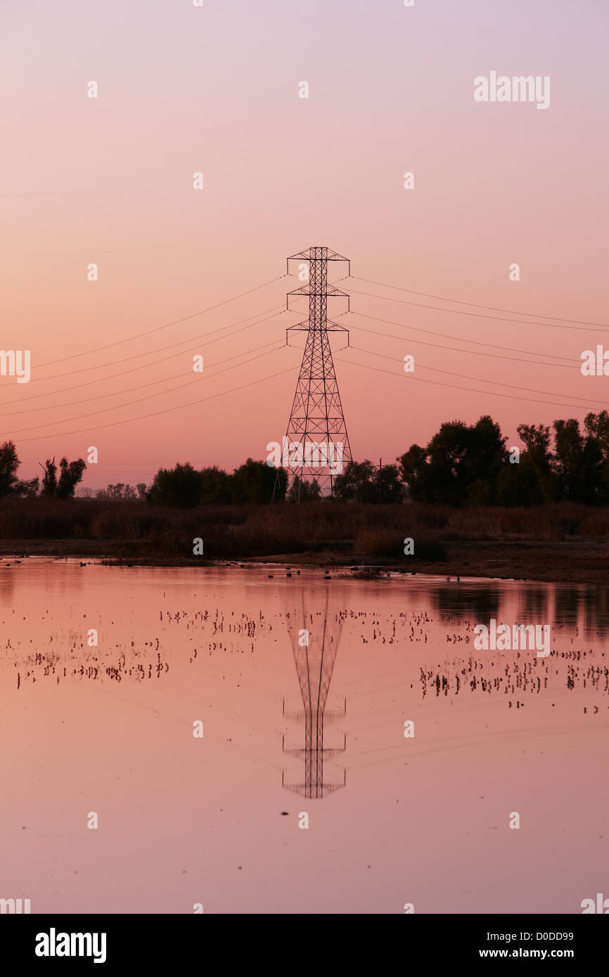 Reflection in a marsh at Colusa National Wildlife Refuge, near Colusa ...