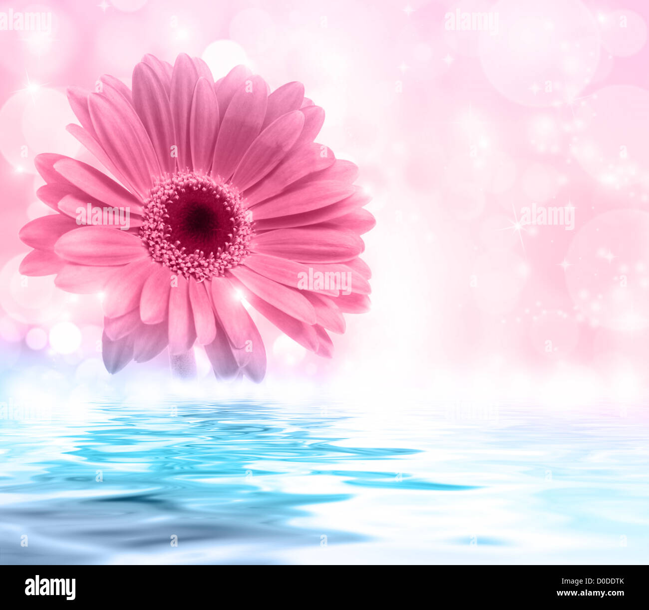 Water background with a bouquet of pink flowers Stock Photo - Alamy