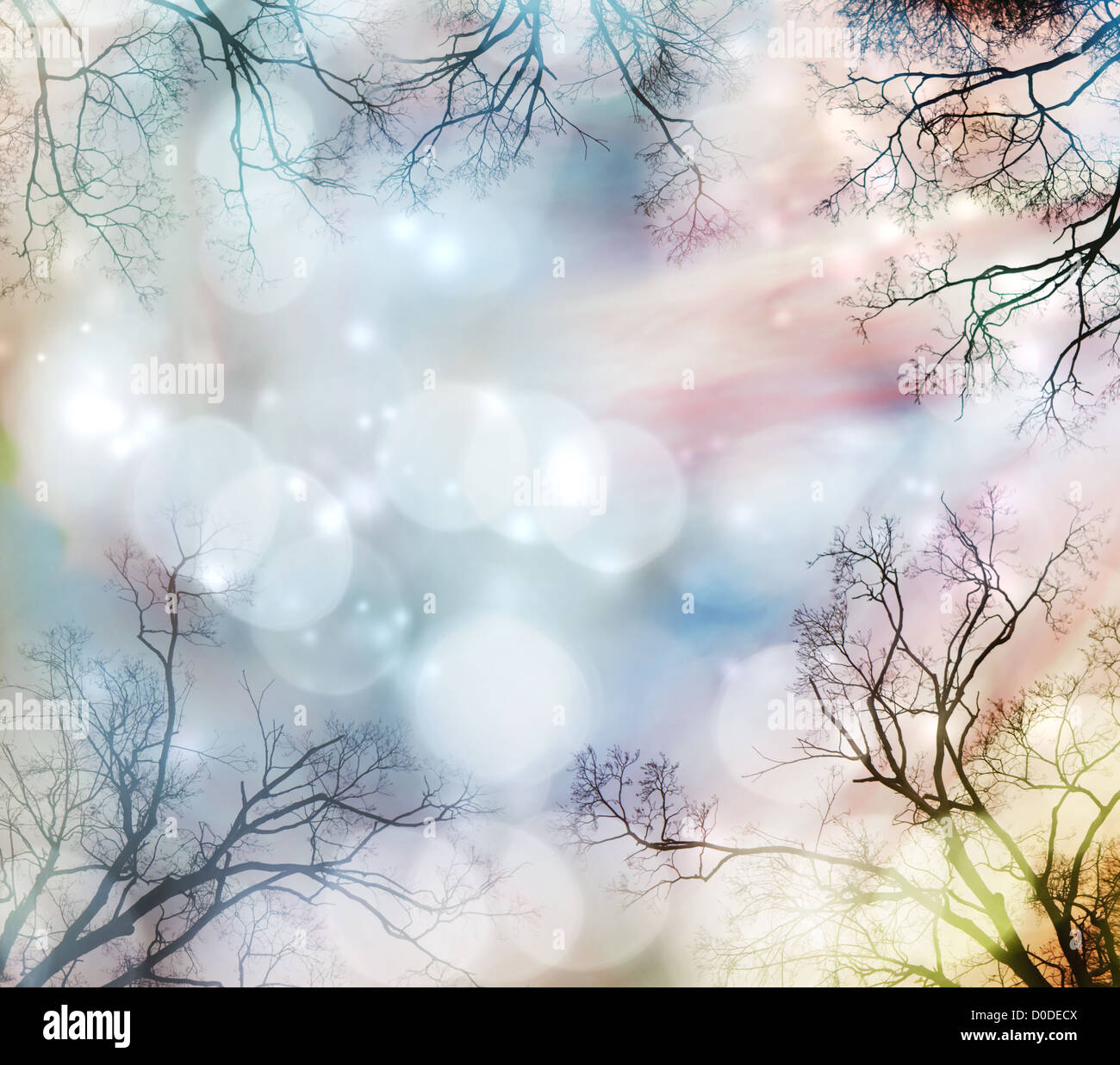 Abstract lights background with tree border Stock Photo - Alamy
