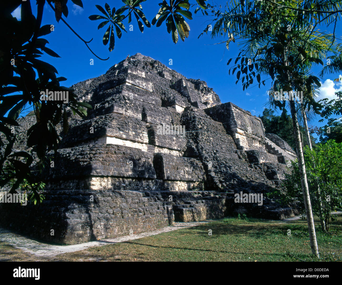 Guatemala, El Petén, Tikal, El Mundo Perdido, Pyramid Stock Photo - Alamy