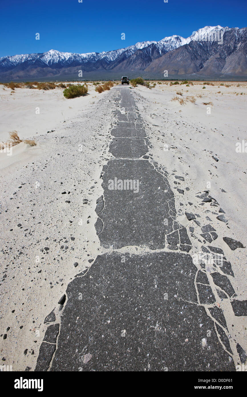 An abandoned, paved road that skirts the periphery of the Olancha Dunes ...
