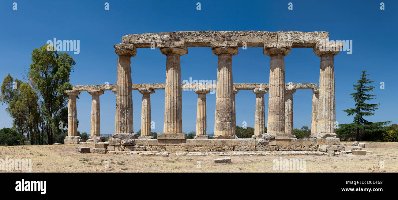Greek temple in Metaponto Stock Photo - Alamy