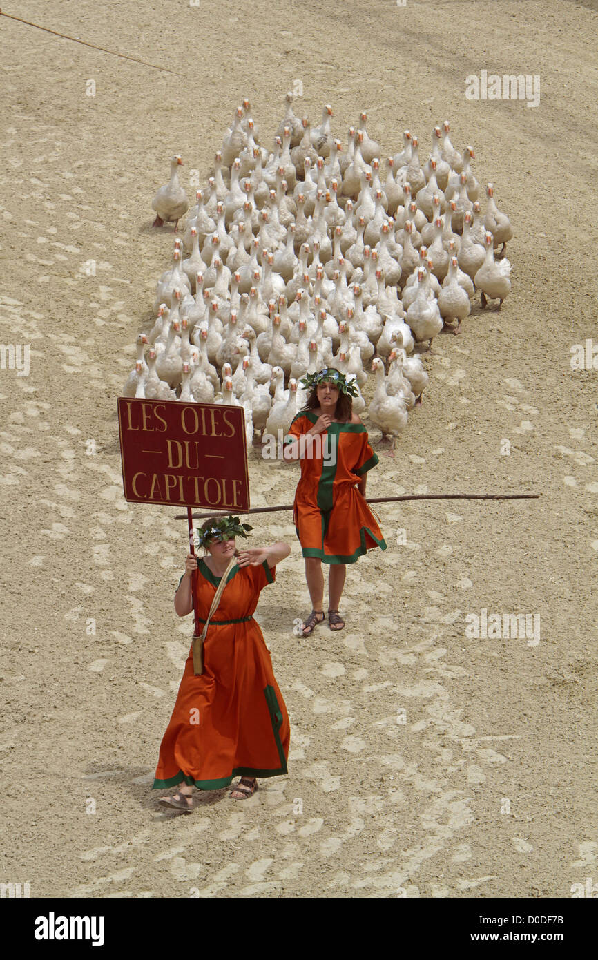 THE GEESE CAPITOLE IN SIGN TRIUMPH BIG PERFORMANCE CIRCUS ACTS ARENA AT ...