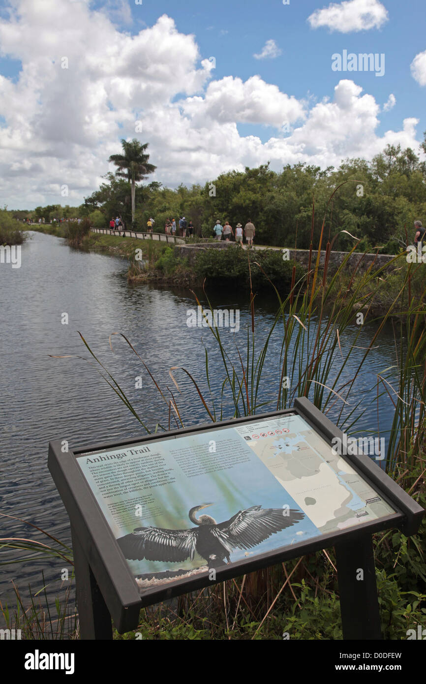 THE ANHINGA TRAIL EDUCATIONAL TRAIL IN EVERGLADES NATIONAL PARK NATURAL ...