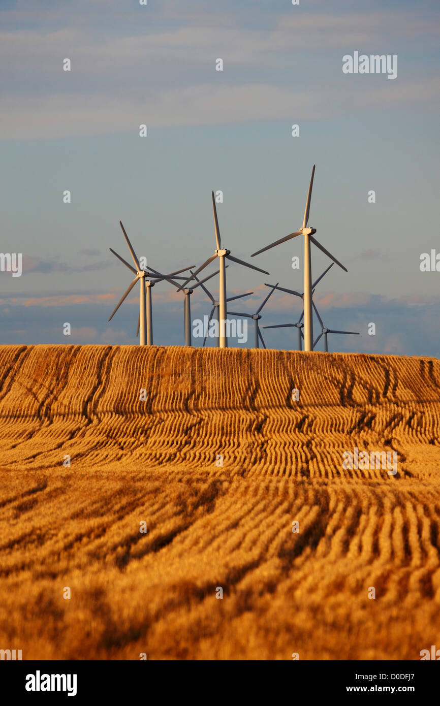 Wind turbines Cedar Creek Wind farm on Pawnee National Grasslands near ...