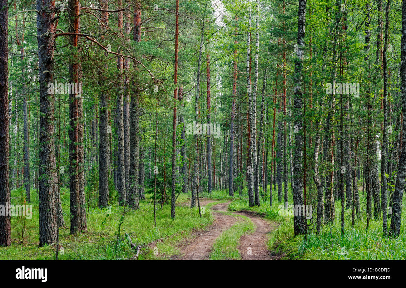 Twisting path in natural park hi-res stock photography and images - Alamy