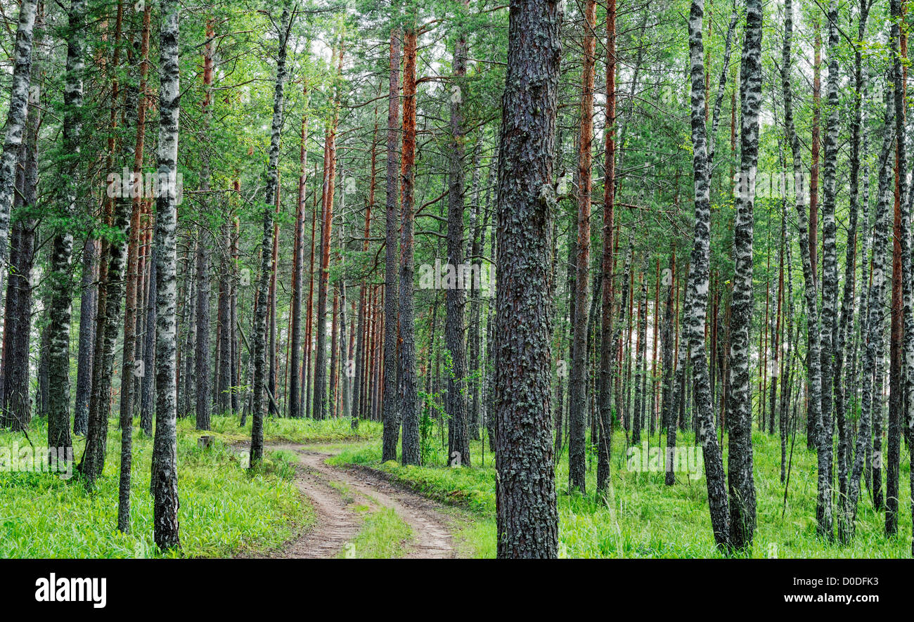 Twisting path in natural park hi-res stock photography and images - Alamy