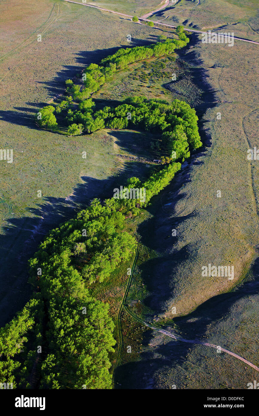 An aerial view of a riparian swath, where trees are growing along the ...