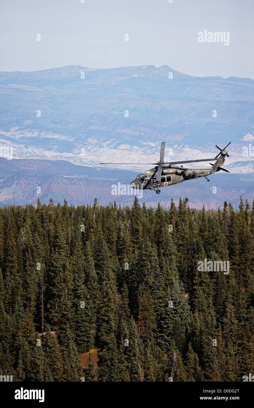 Sikorsky UH-60 Blackhawk helicopter above trees in Colorado's Rocky ...