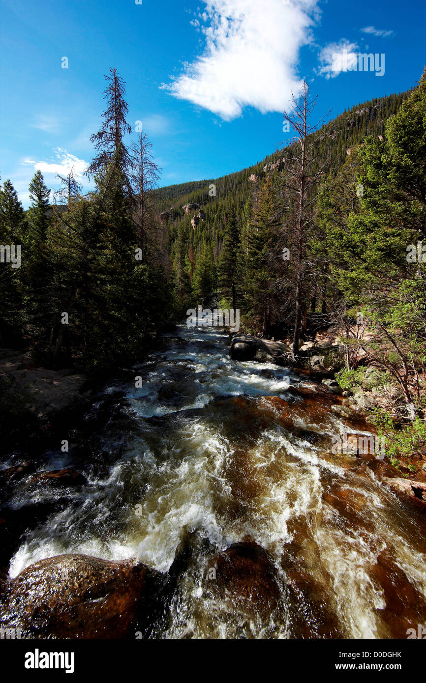 Big Thompson River, Rocky Mountain National Park, Colorado, USA Stock ...