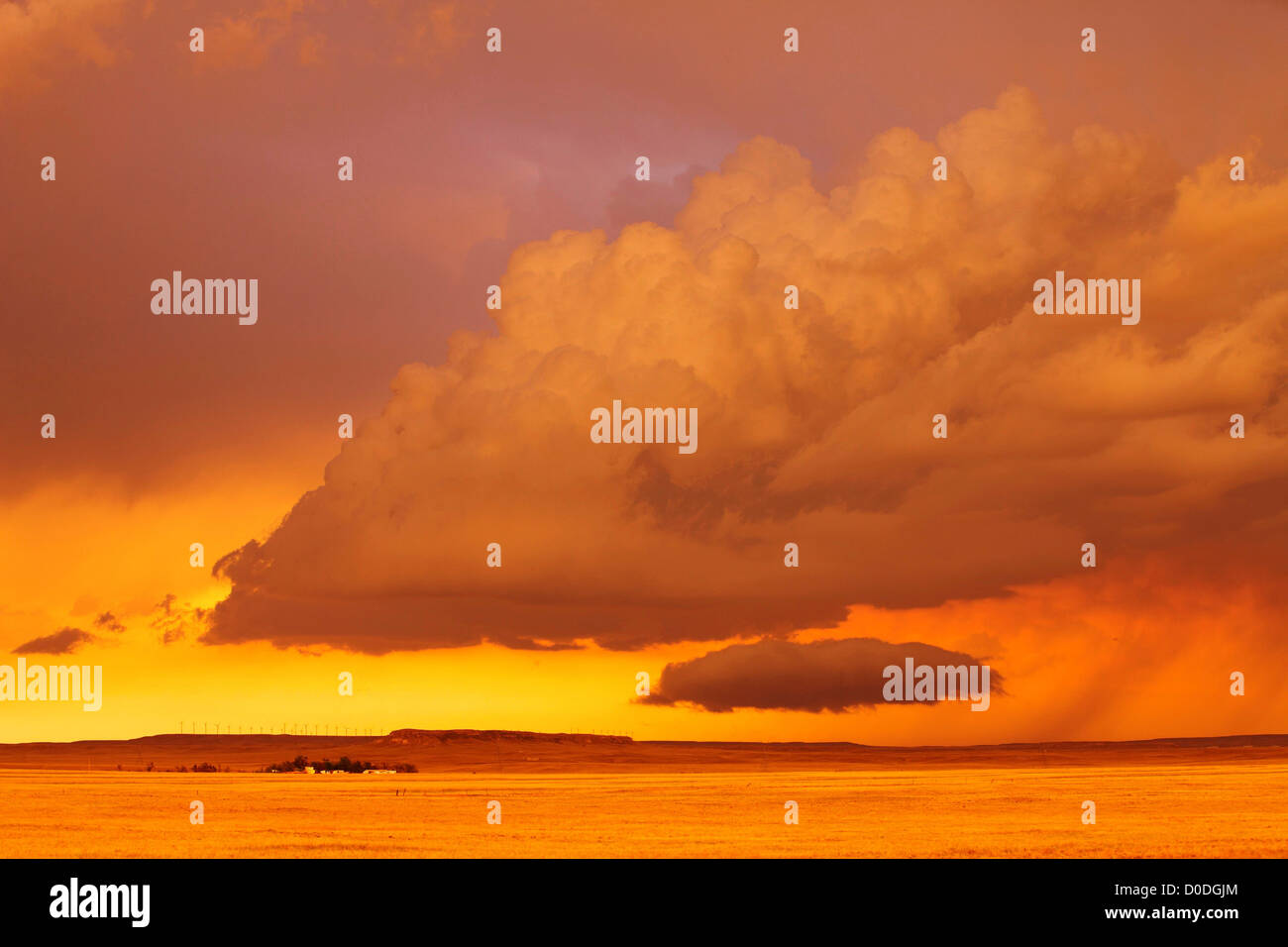 Eastern plains colorado hi-res stock photography and images - Alamy