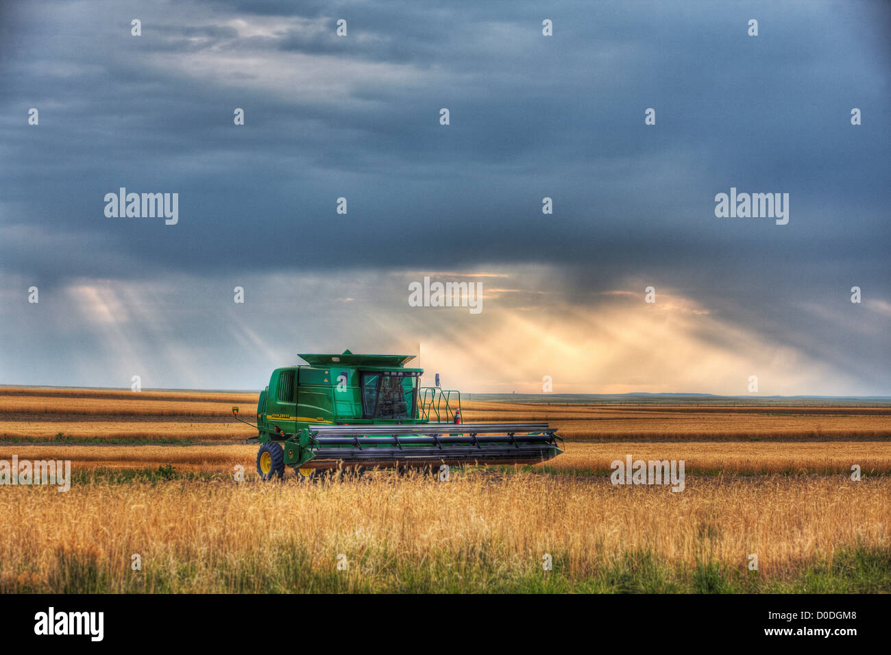 Combine in wheat field, Colorado Stock Photo - Alamy
