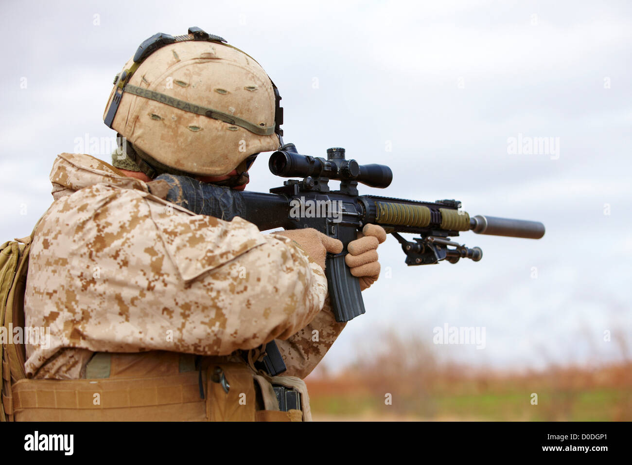 Usmc Dmr Rifle