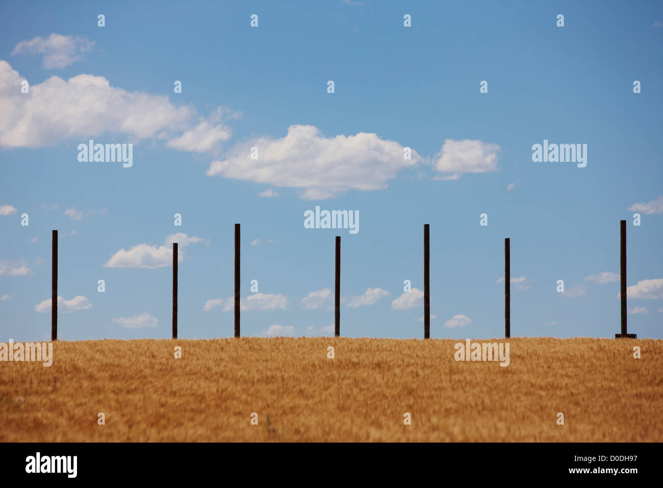 Communication poles hi-res stock photography and images - Alamy