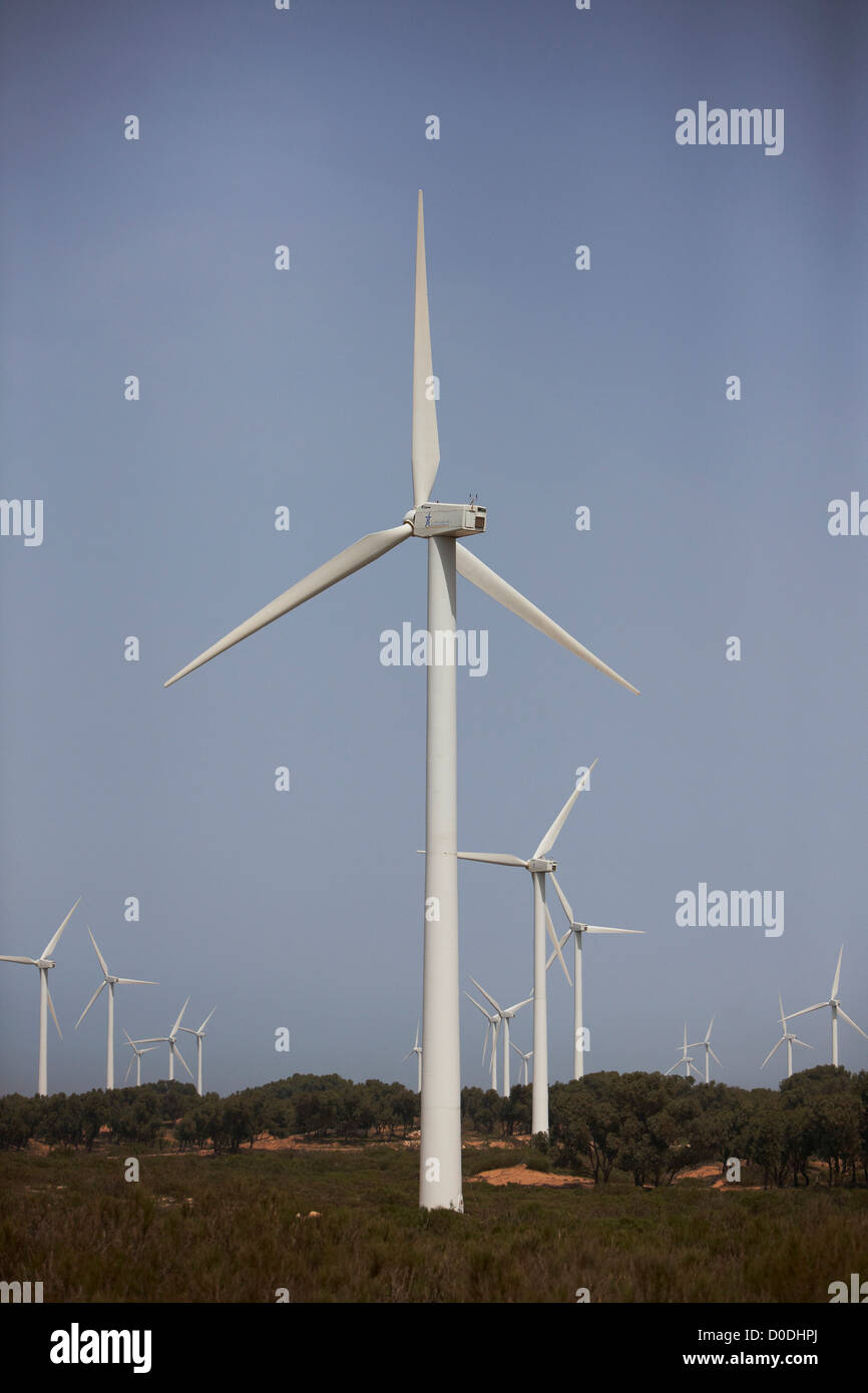 Morocco wind turbine hi-res stock photography and images - Alamy