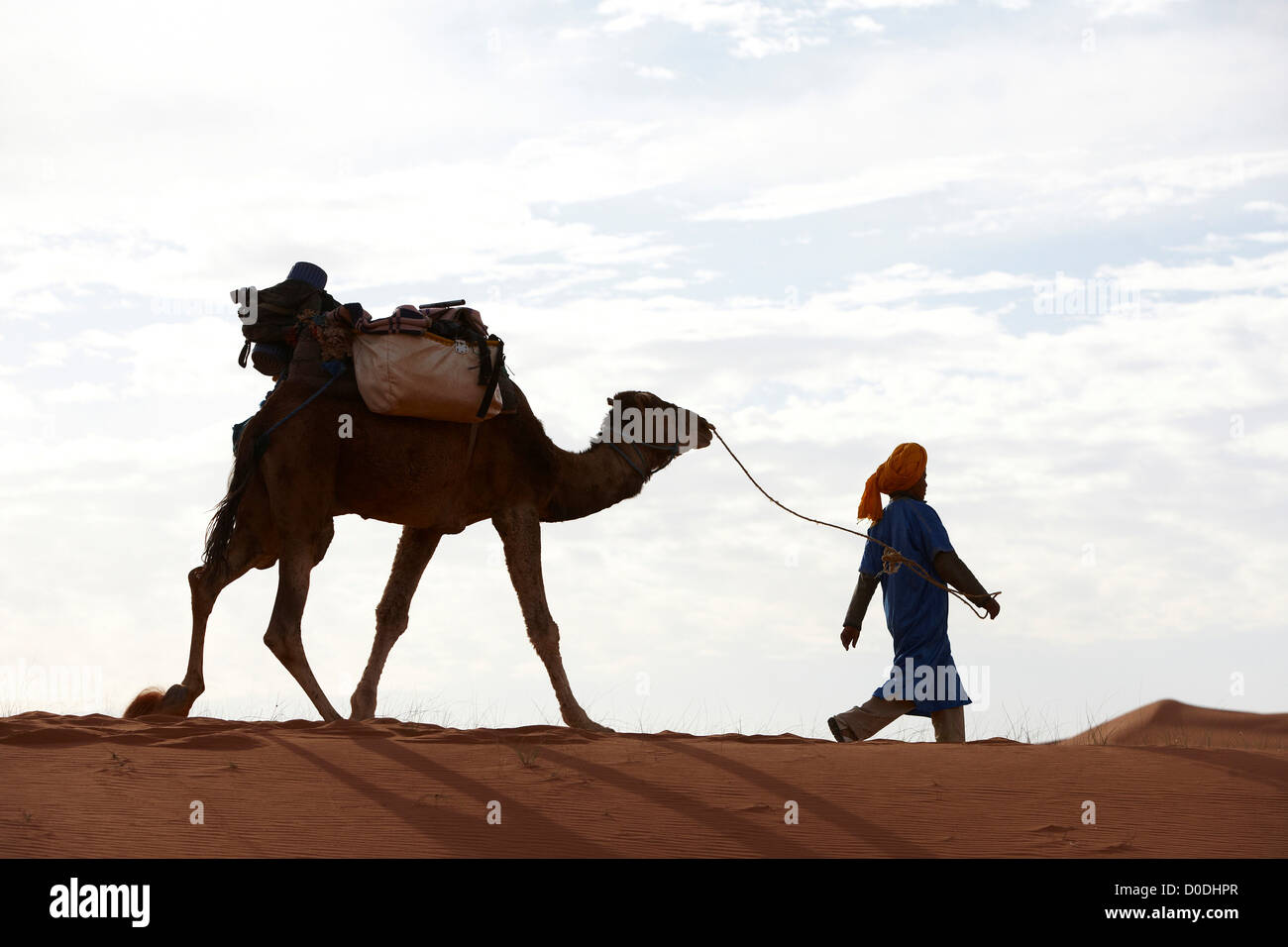 Bedouin nomad leading supply-laden camel deep across a dune field deep ...