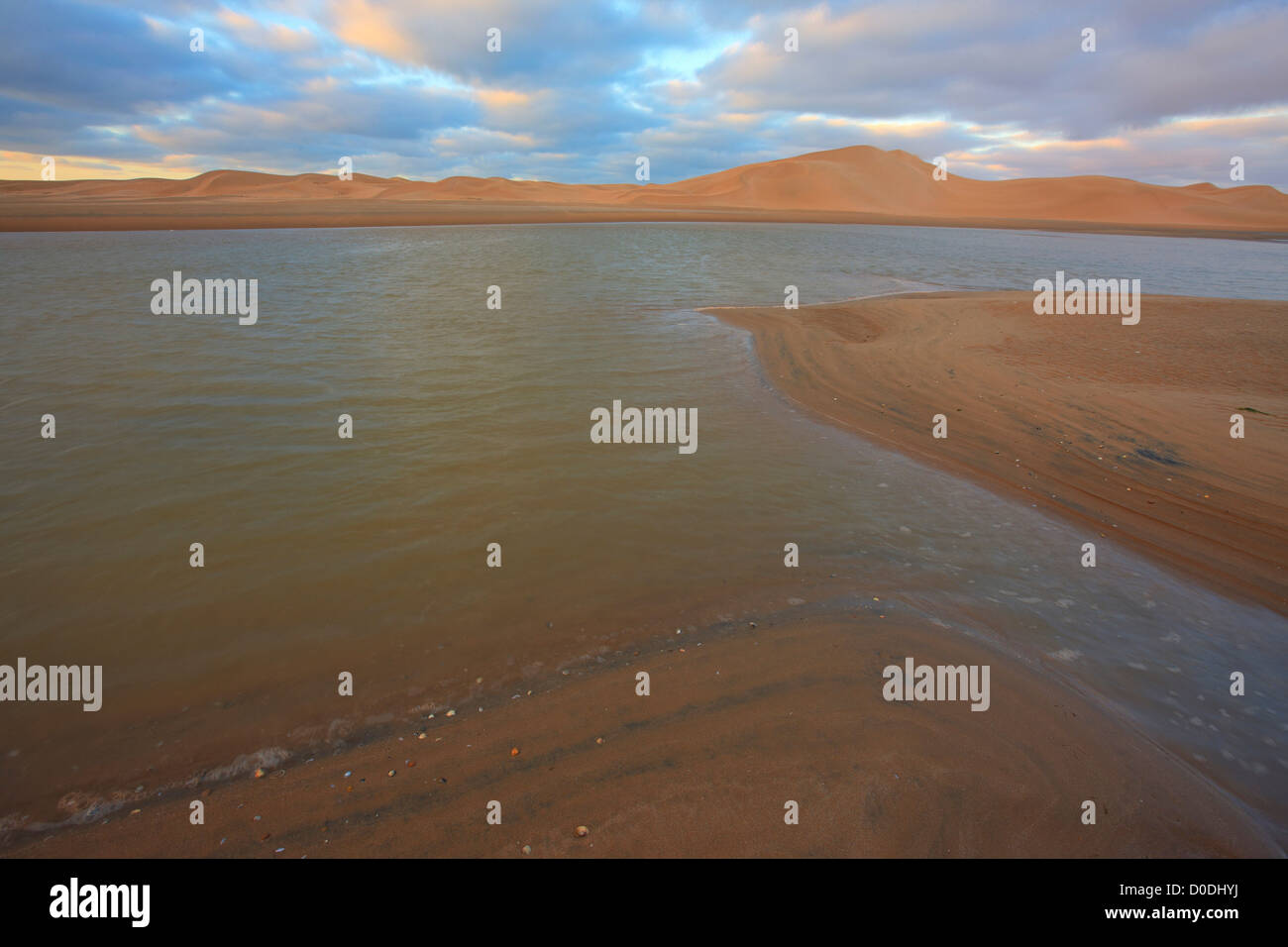 Estuary Sand Dunes Atlantic Shoreline where Sahara Desert meets Sea ...