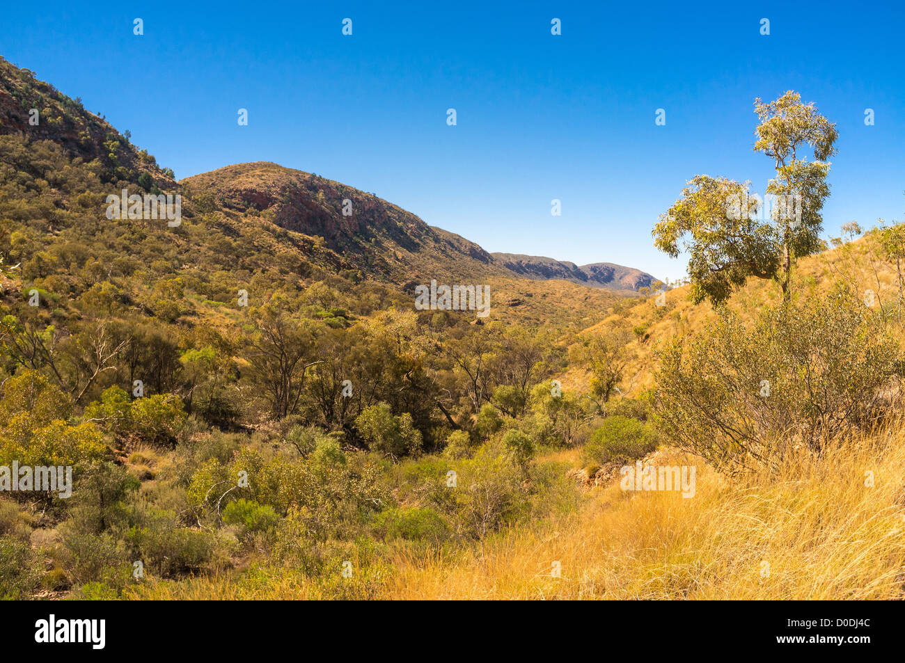 Rugged West MacDonnell Range near Ellery Creek Big Hole in West ...