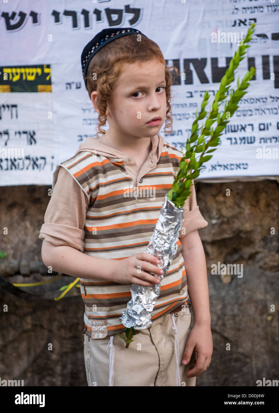 An Orthodox Jewish child holds an Hadas branch in the Four species ...
