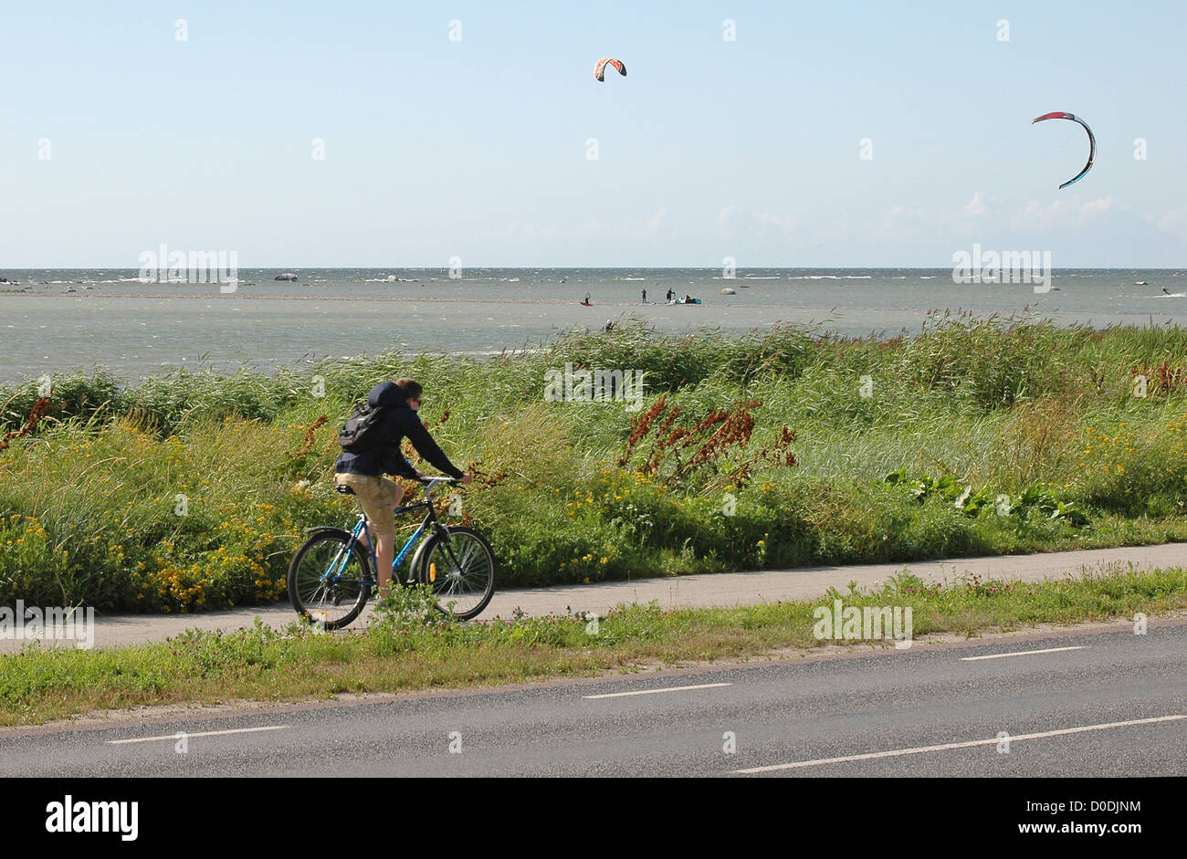 man riding a bicycle with kite-surfers on sea at background Stock Photo ...