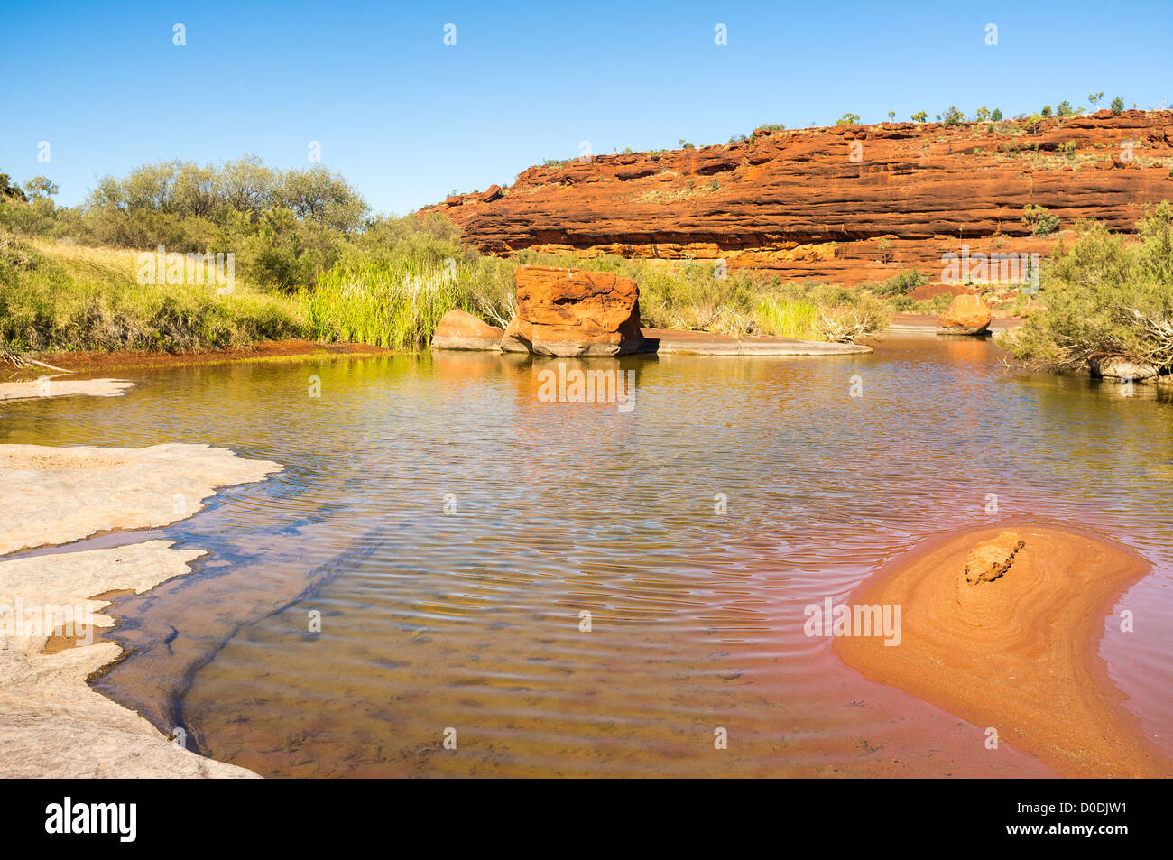 Palm Valley in Finke Gorge National Park near Alice Springs in the Red ...