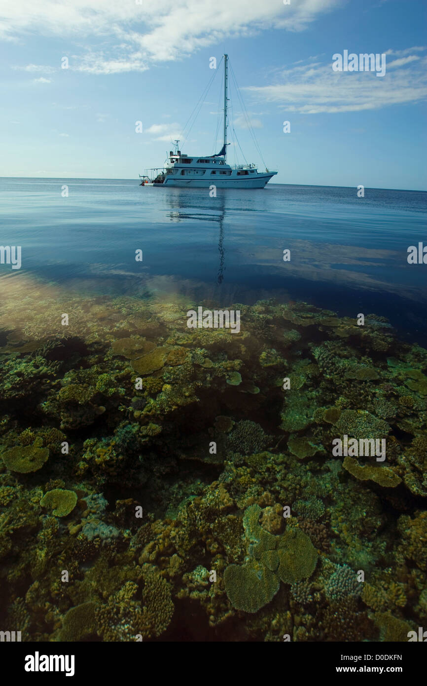 Image of a Dive Vessel Floating Above a Coral Reef Stock Photo - Alamy