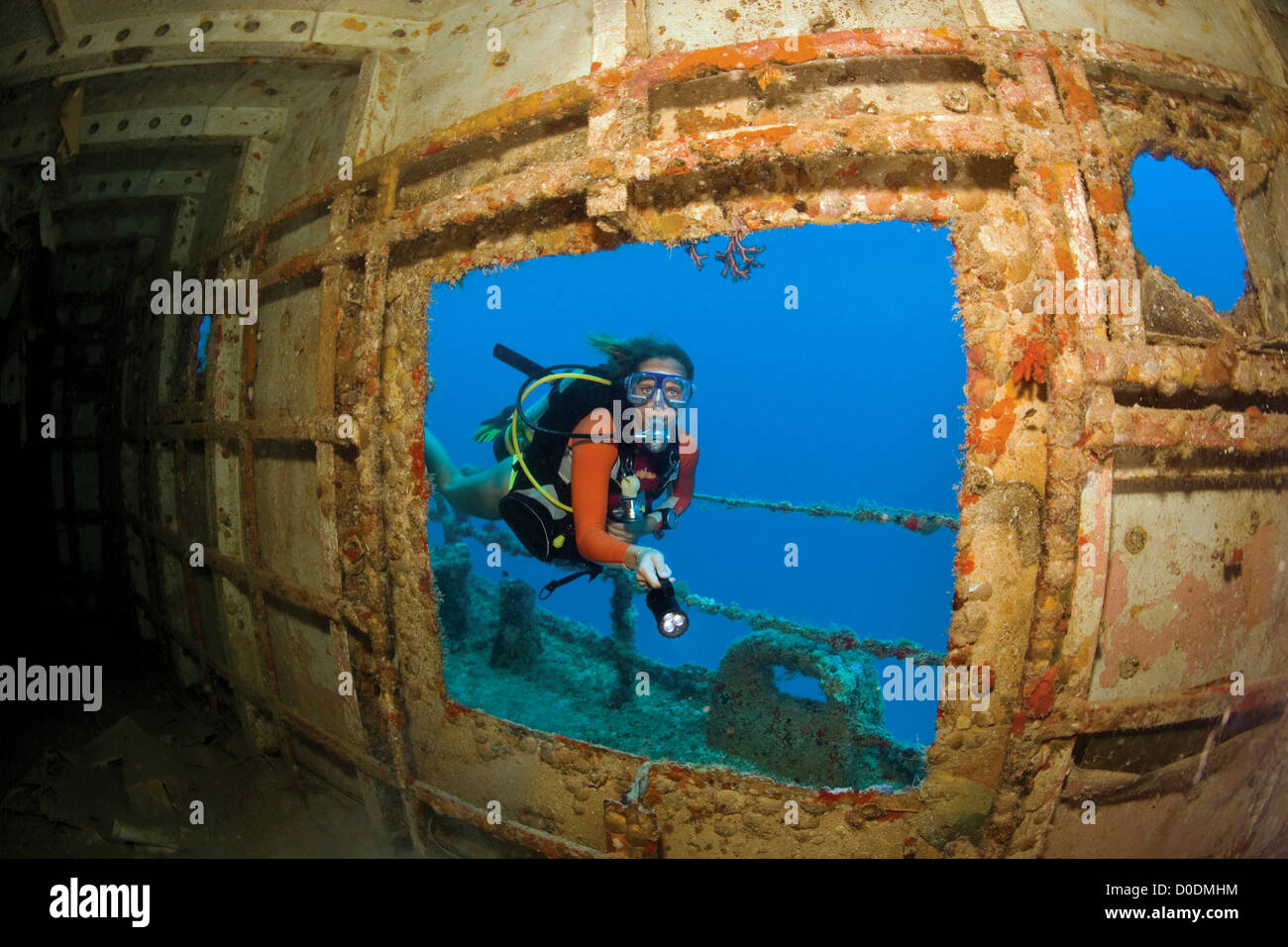 Scuba Diver on Shipwreck, Key Largo, Florida Stock Photo - Alamy