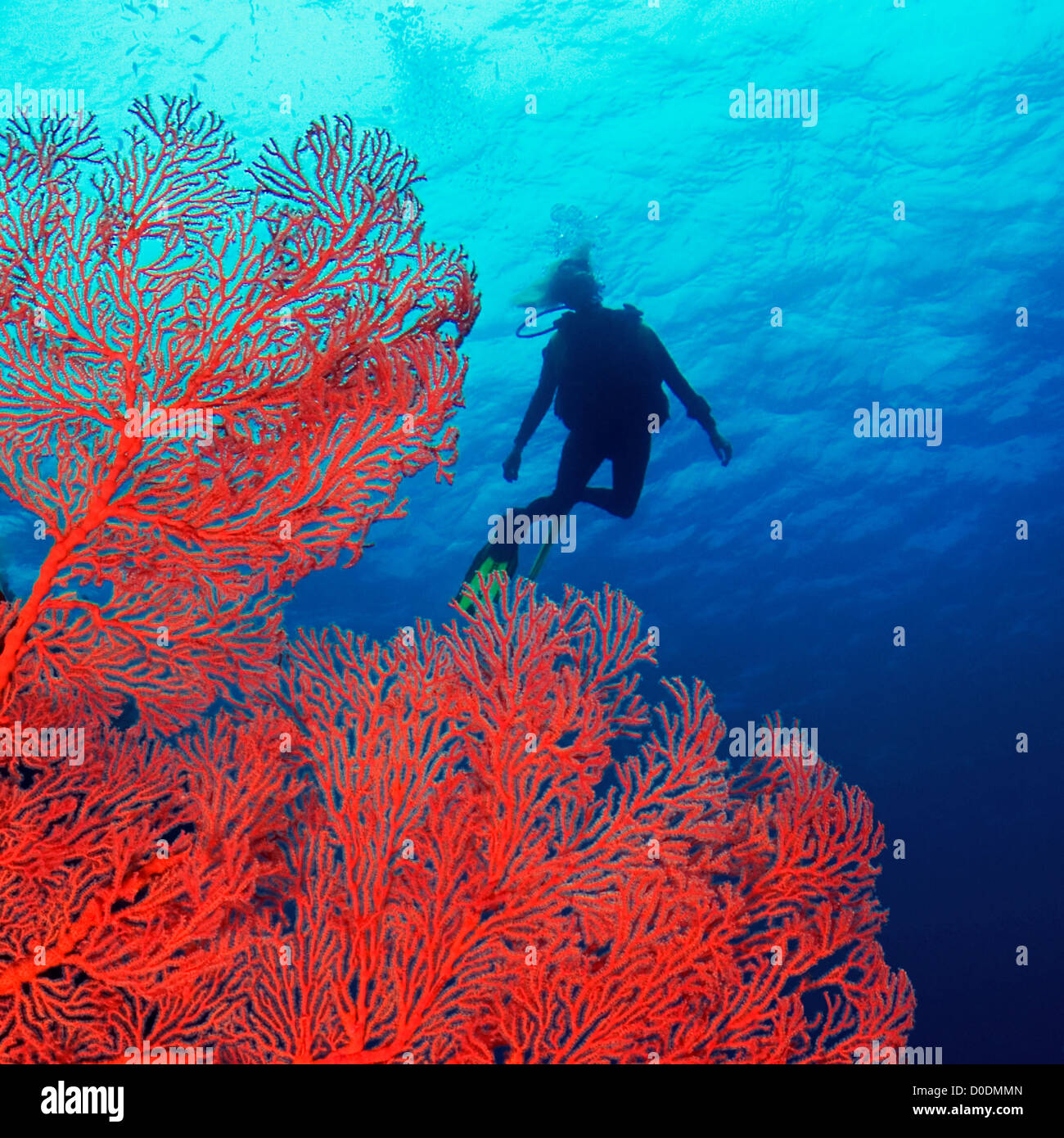 Behind large hi-res stock photography and images - Alamy