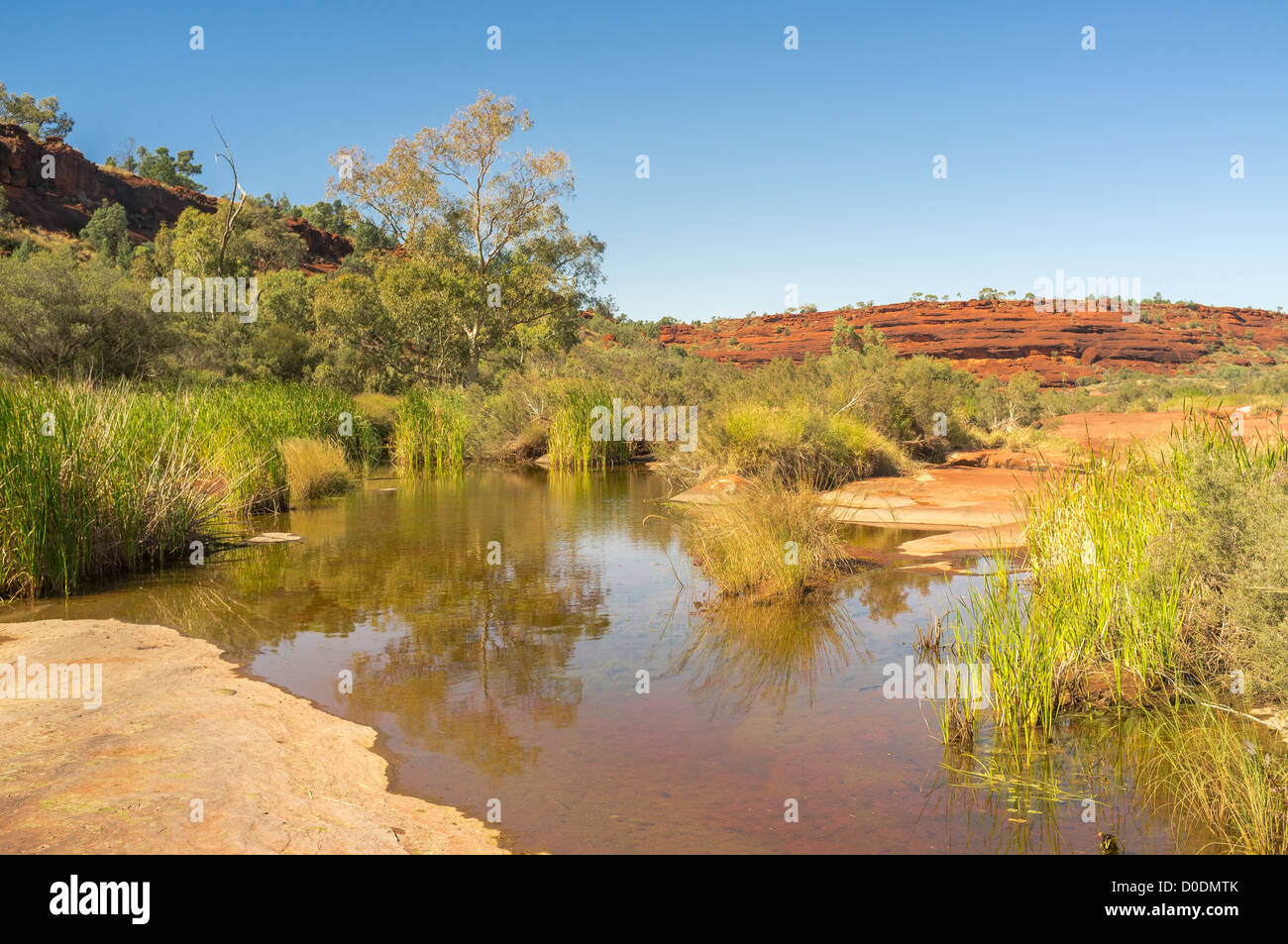 Palm Valley in Finke Gorge National Park near Alice Springs in the Red ...