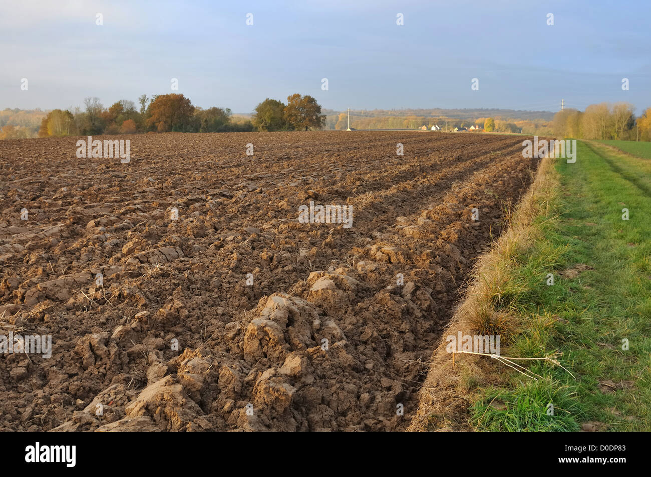 Clods of earth hi-res stock photography and images - Alamy