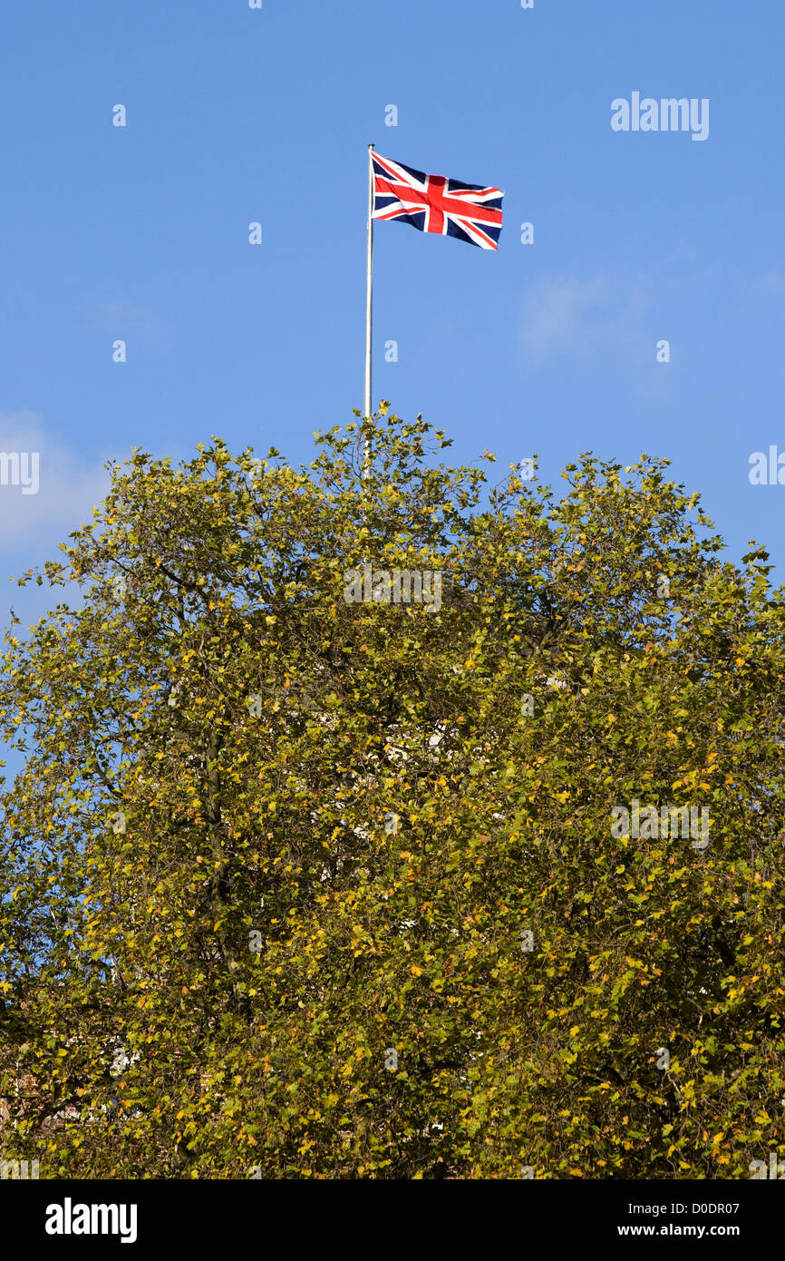 Autumn Trees with the Union Jack flag flying on a blue sky background ...