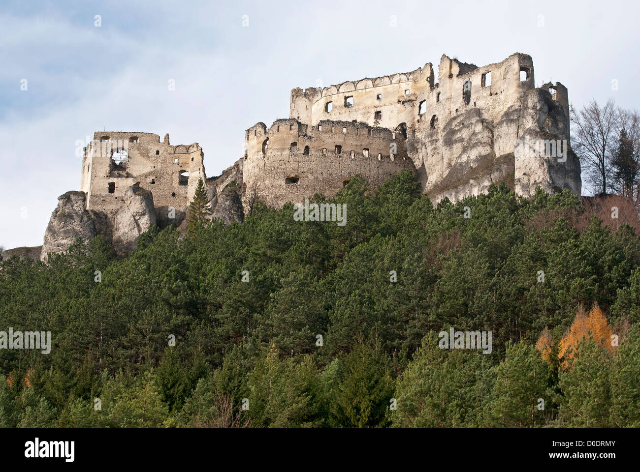 Lietava castle - historical ruins in Slovakia Stock Photo - Alamy