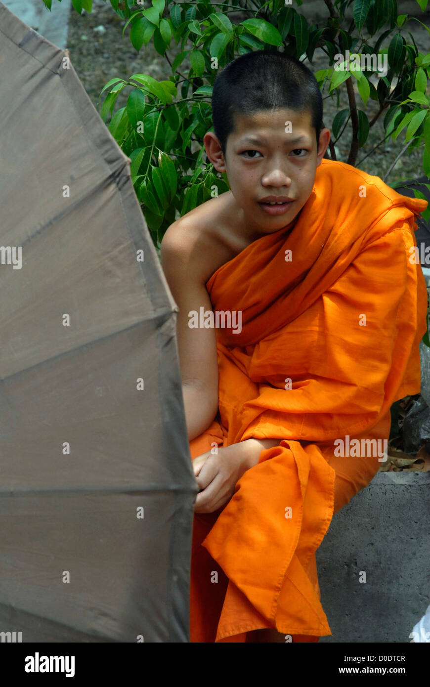 Novice monk thailand hi-res stock photography and images - Alamy